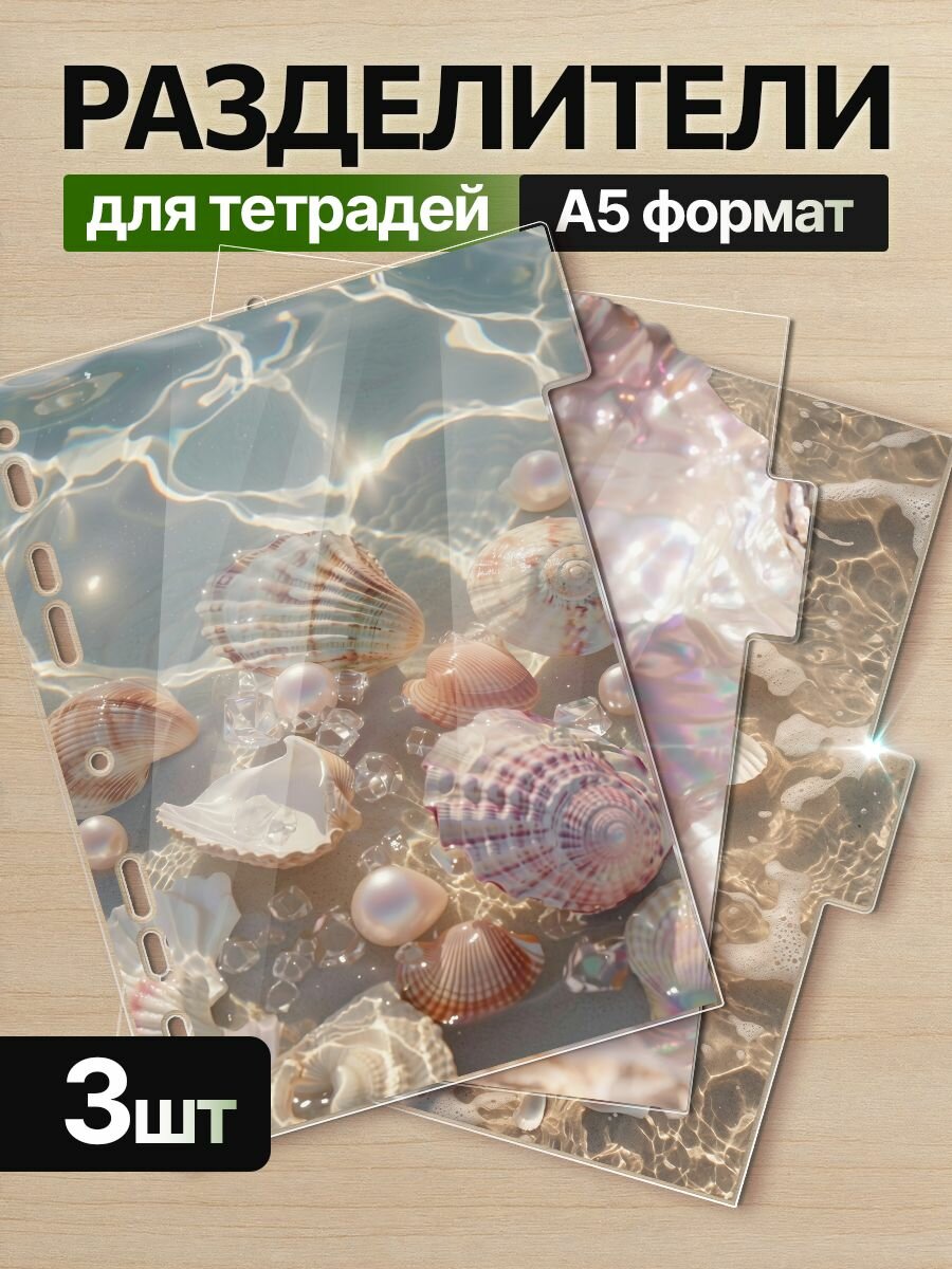 Разделители для тетрадей эстетика Ракушки