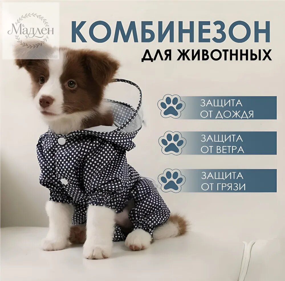Комбинезон Вишенка для собак, непромокаемый, с капюшоном, демисезон синий/белый