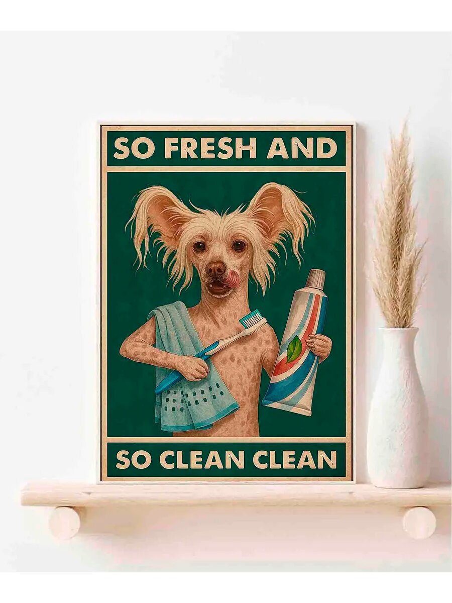 Китайская хохлатая собака, So Fresh And So Clean Clean, Пла