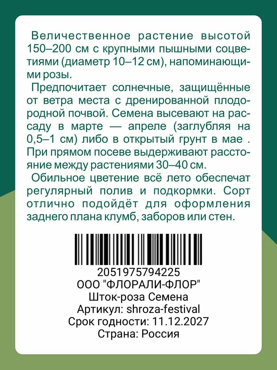 Шток-роза Семена — фото 1