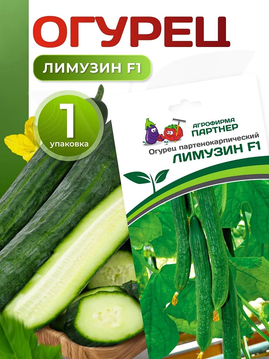 Семена огурца Лимузин