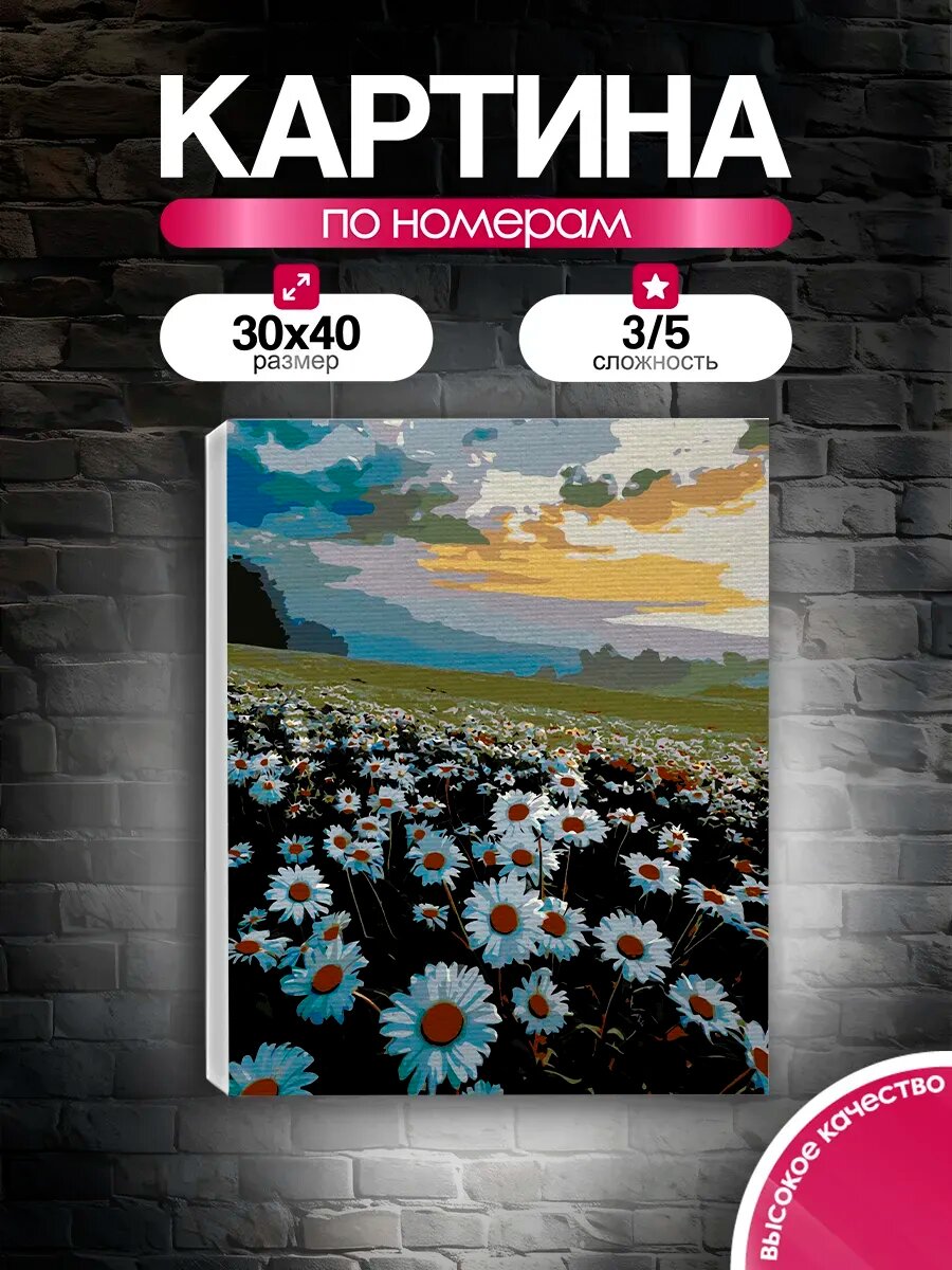 Картина по номерам 30x40 Ромашковое поле
