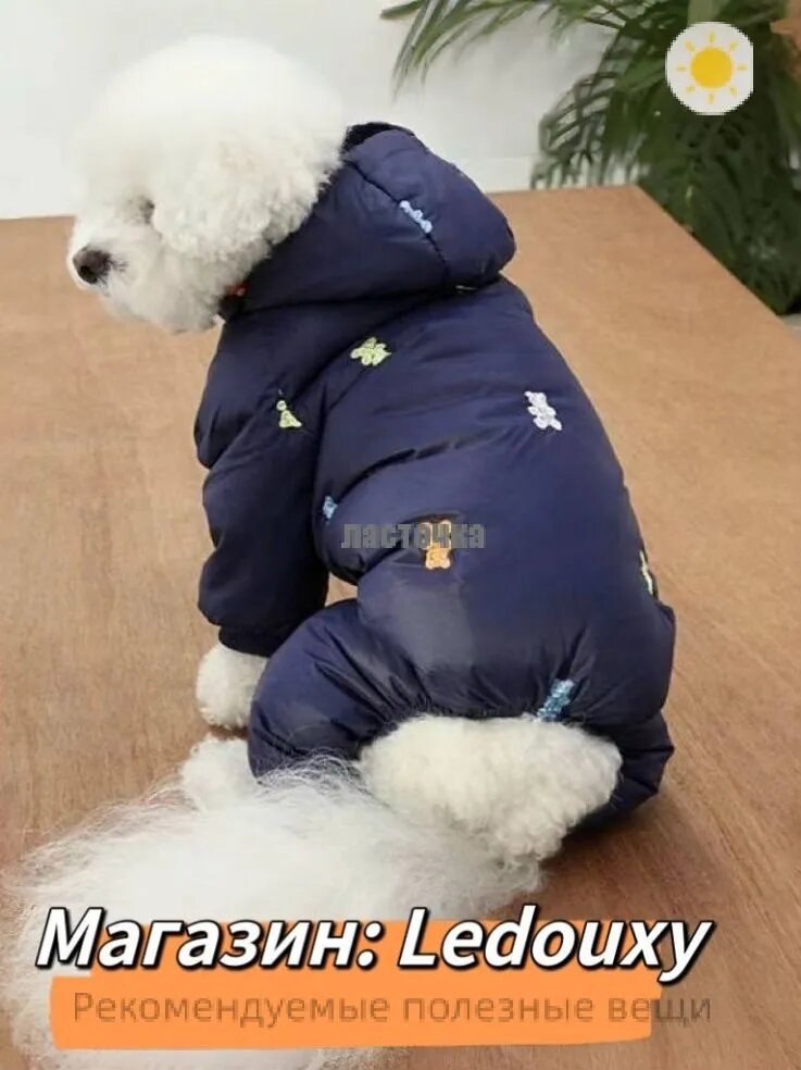 Эксклюзивный синий комбинезон Ledouxy с вышивкой для питомца, размер XL, длина 40 см