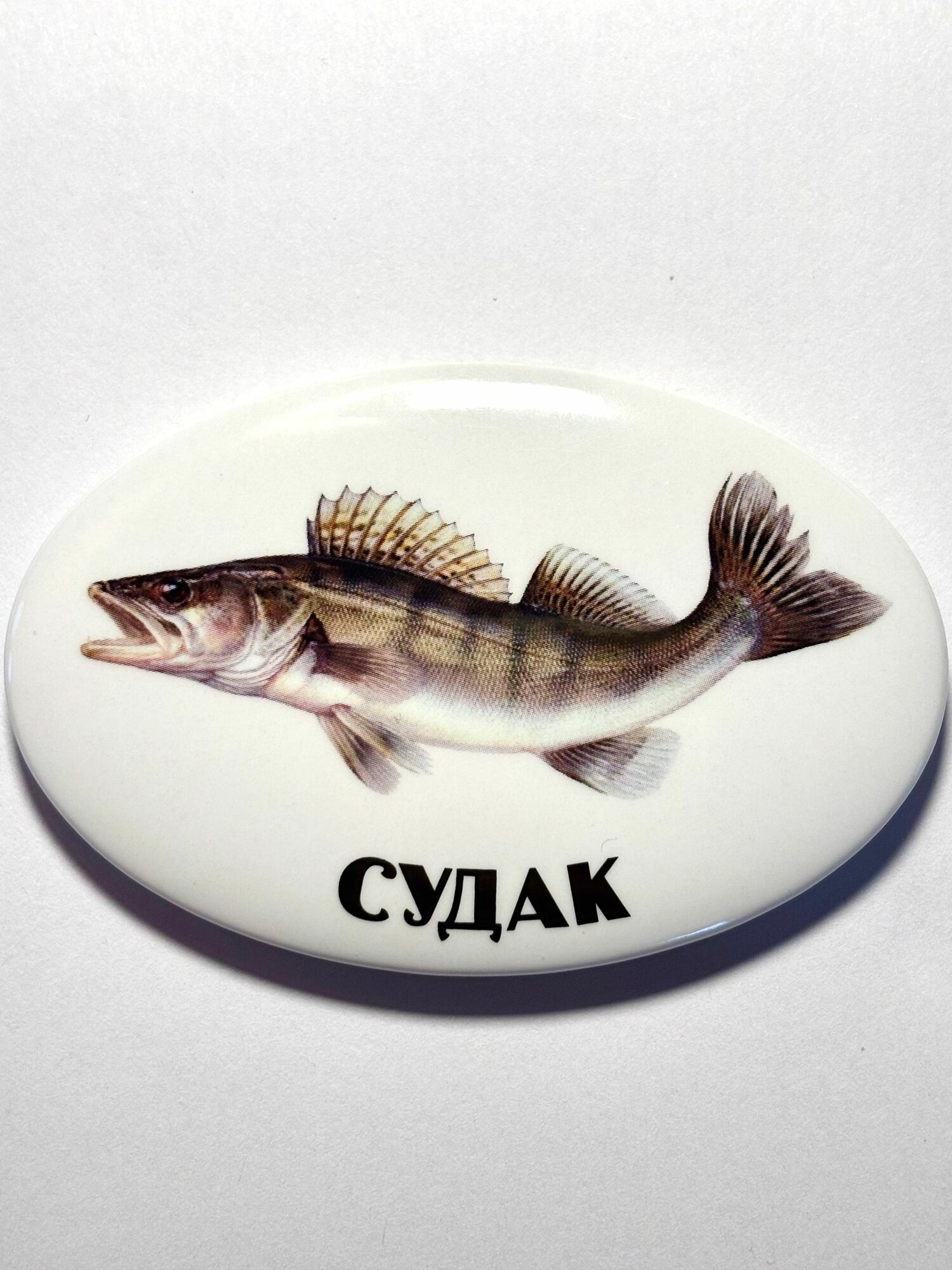 Магнит "Рыба Судак"