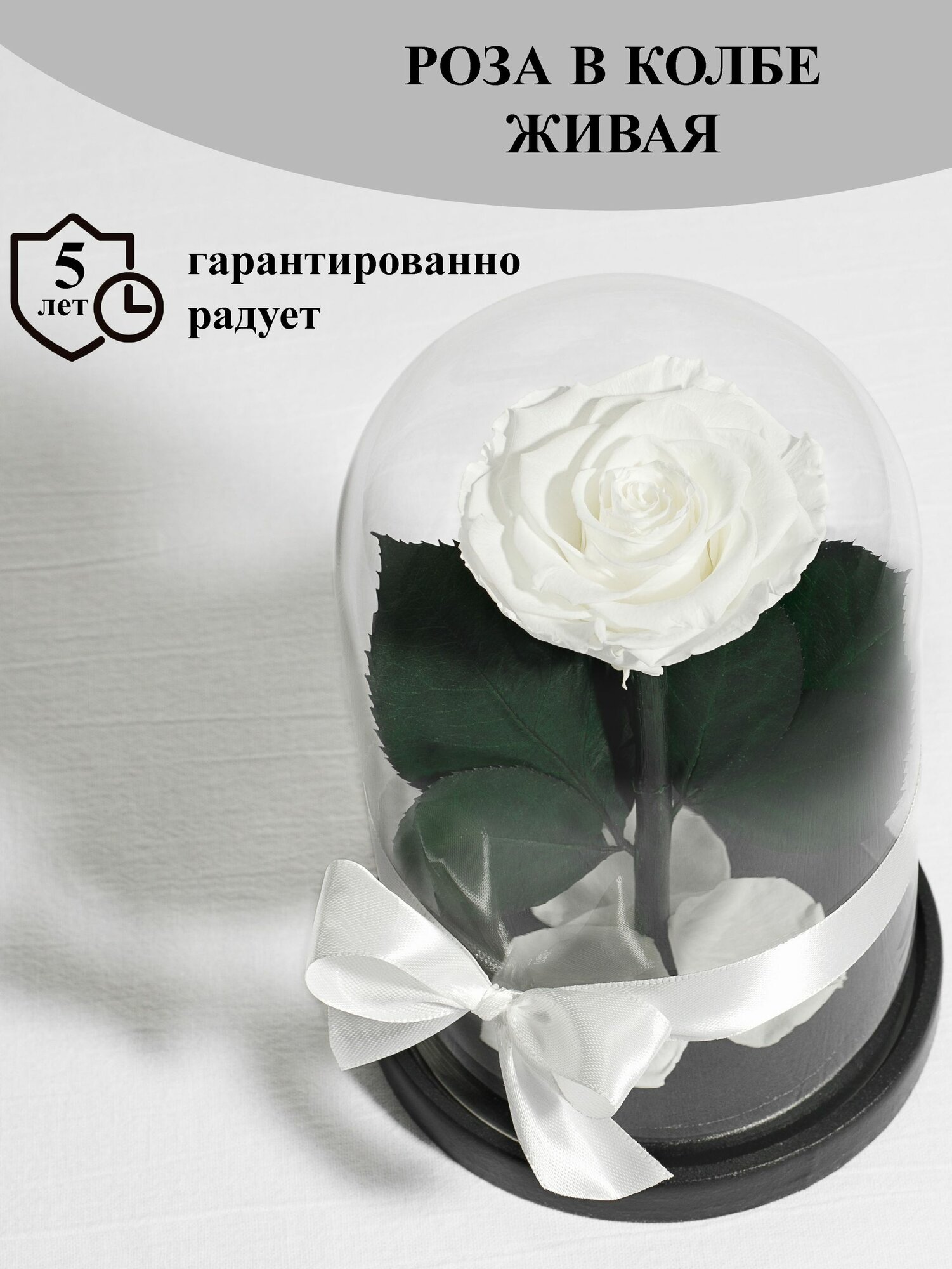 Стабилизированные цветы в стекле, Роза в колбе живая Bella белая, GIFT4YOU