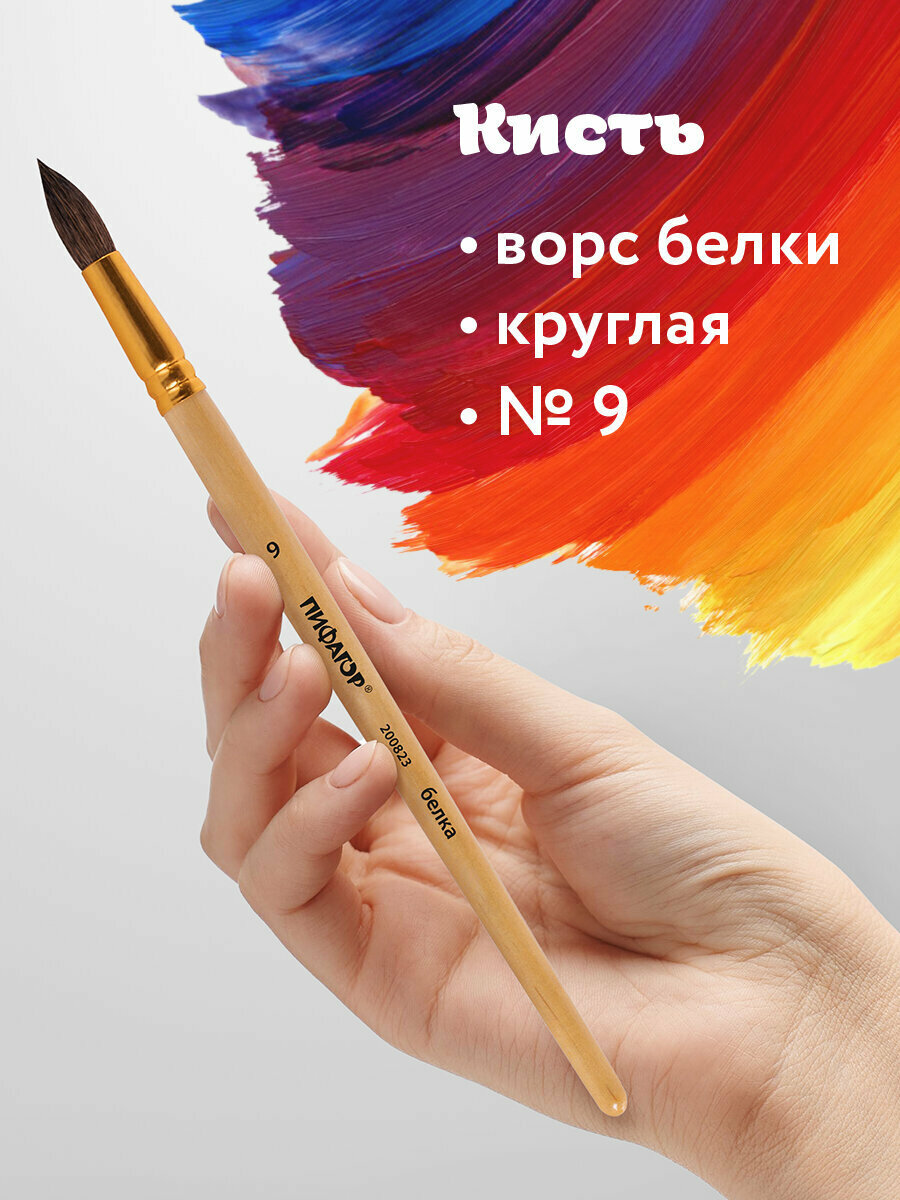 Кисть / кисточка для рисования Пифагор, белка, круглая, № 9, деревянная лакированная ручка, с колпачком, пакет с европодвесом, 200823
