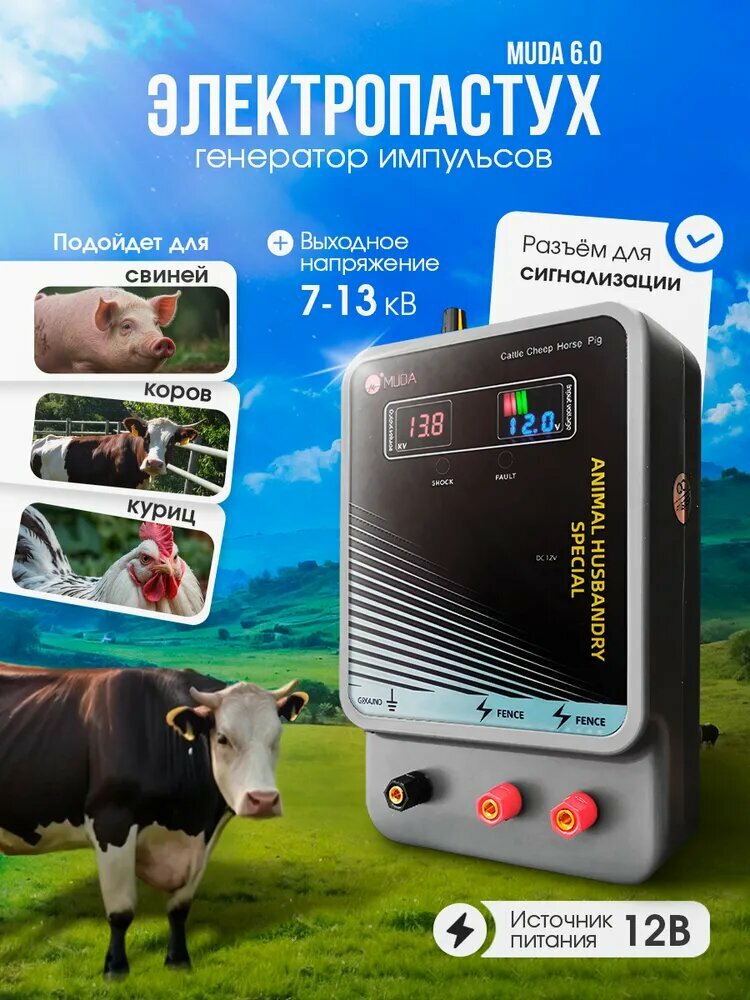 Электропастух для коров, свиней, овец, куриц, лошадей / импульс 4 Дж, 10 км