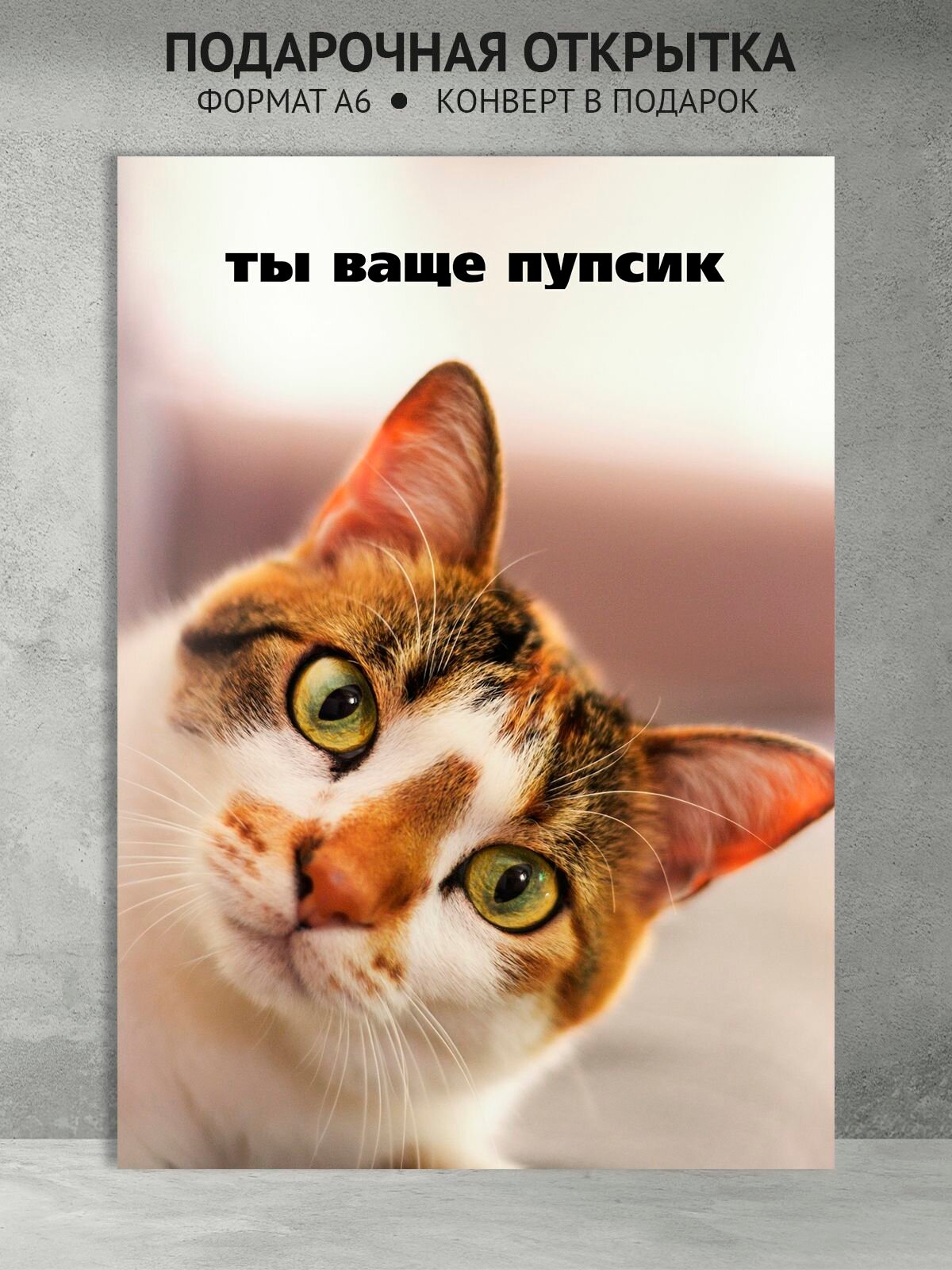 Подарочная открытка с уникальной иллюстрацией котик "Ты ваще пупсик" с днем рождения, с юбилеем, без повода