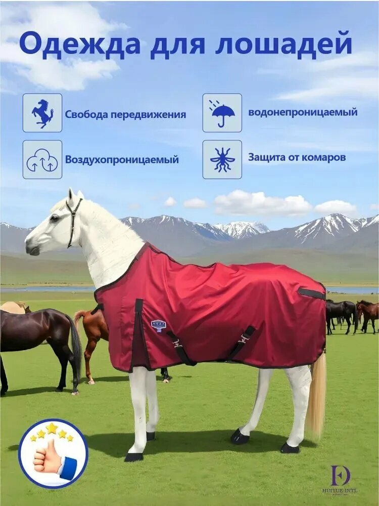 Летняя конная одежда, ткань мягкая и удобная, воздухопроницаемая и потная, ветрозащитная от комаров