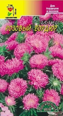 Семена Астра Бордюр Розовый Цветущий сад
