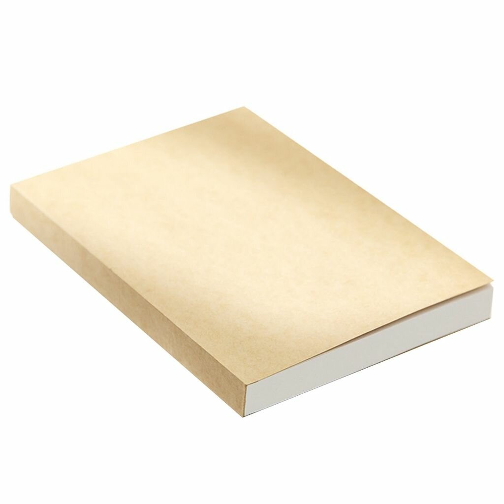 1 Очень толстая чистая книга формата А4, внутренняя страница, обложка в горизонтальную линию-воловья кожа