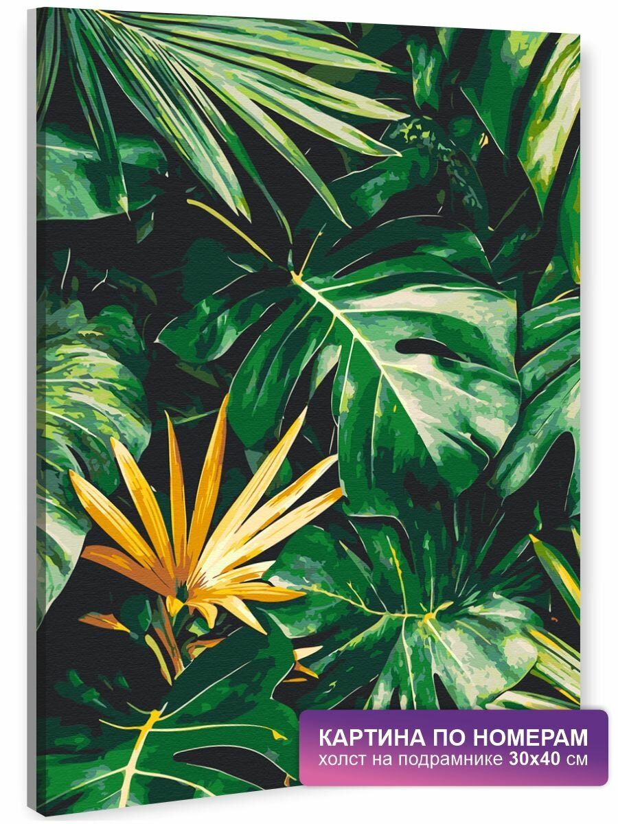 Картина по номерам на холсте с подрамником 30х40 см. Природа, горы, море, волны, пейзажи, небо, путешествия. "Тропические листья", арт. 7095/