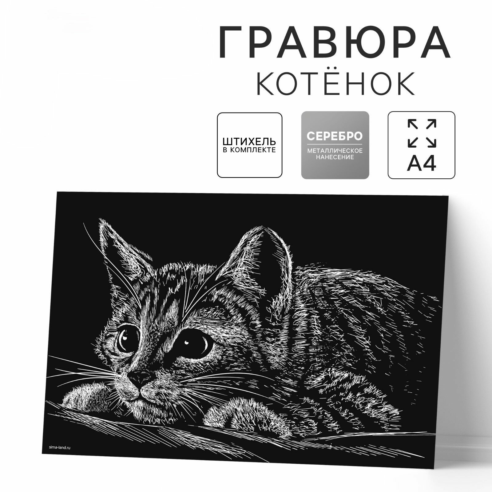 Гравюра Котёнок с металлическим эффектом, серебро, А4