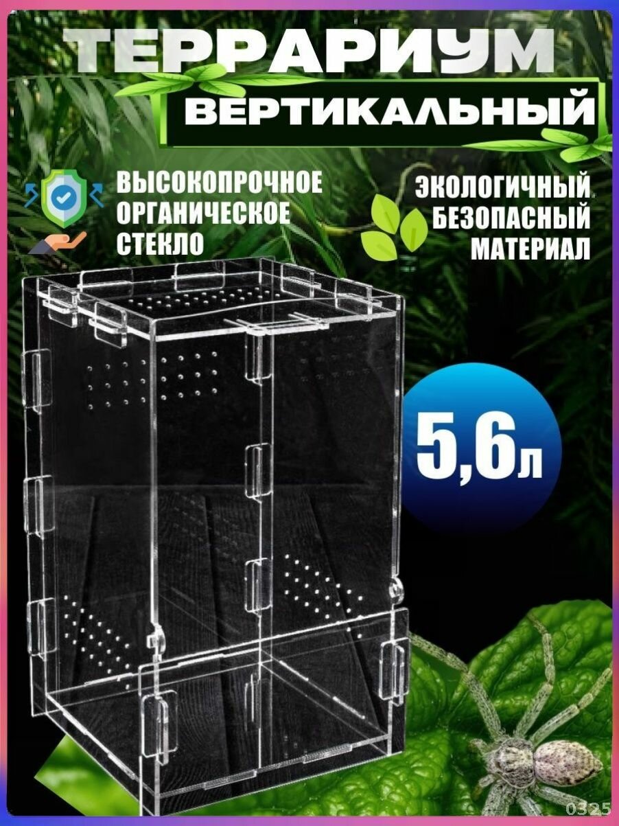 Террариум