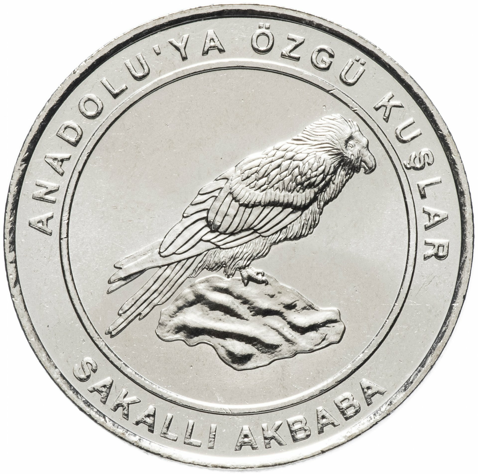 Турция 1 куруш, 2018 "Бородач" Серия "Птицы Анатолии", Медь, в сохранности UNC