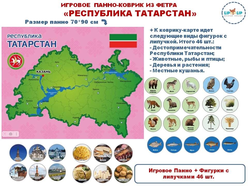 Панно Республика Татарстан фетр 70х90см, карта региона и фигурки с информацией о регионе LIP1403