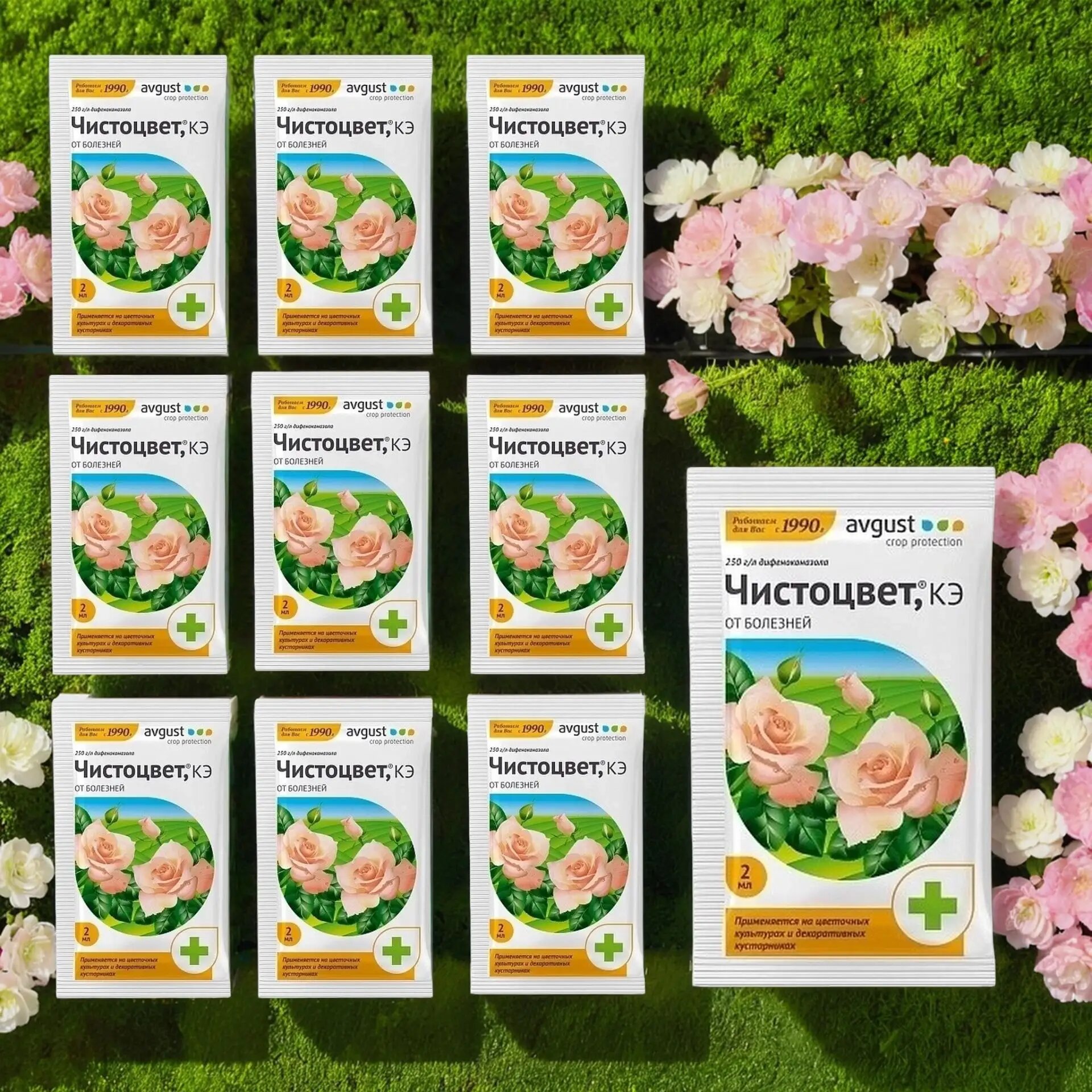 Фунгицид Avgust "Чистоцвет", от болезней, для цветов и декоративных растений 2 мл 10 шт