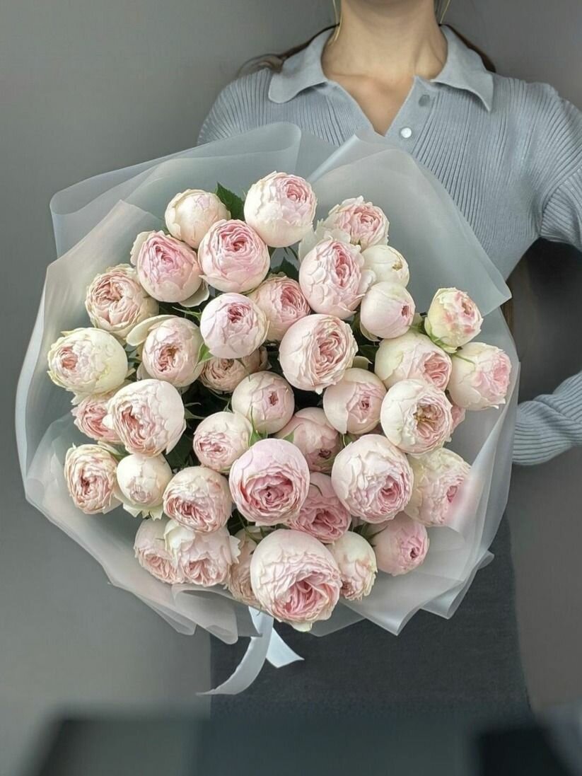 Кустовые пионовидные розы Мэнсфилд Парк