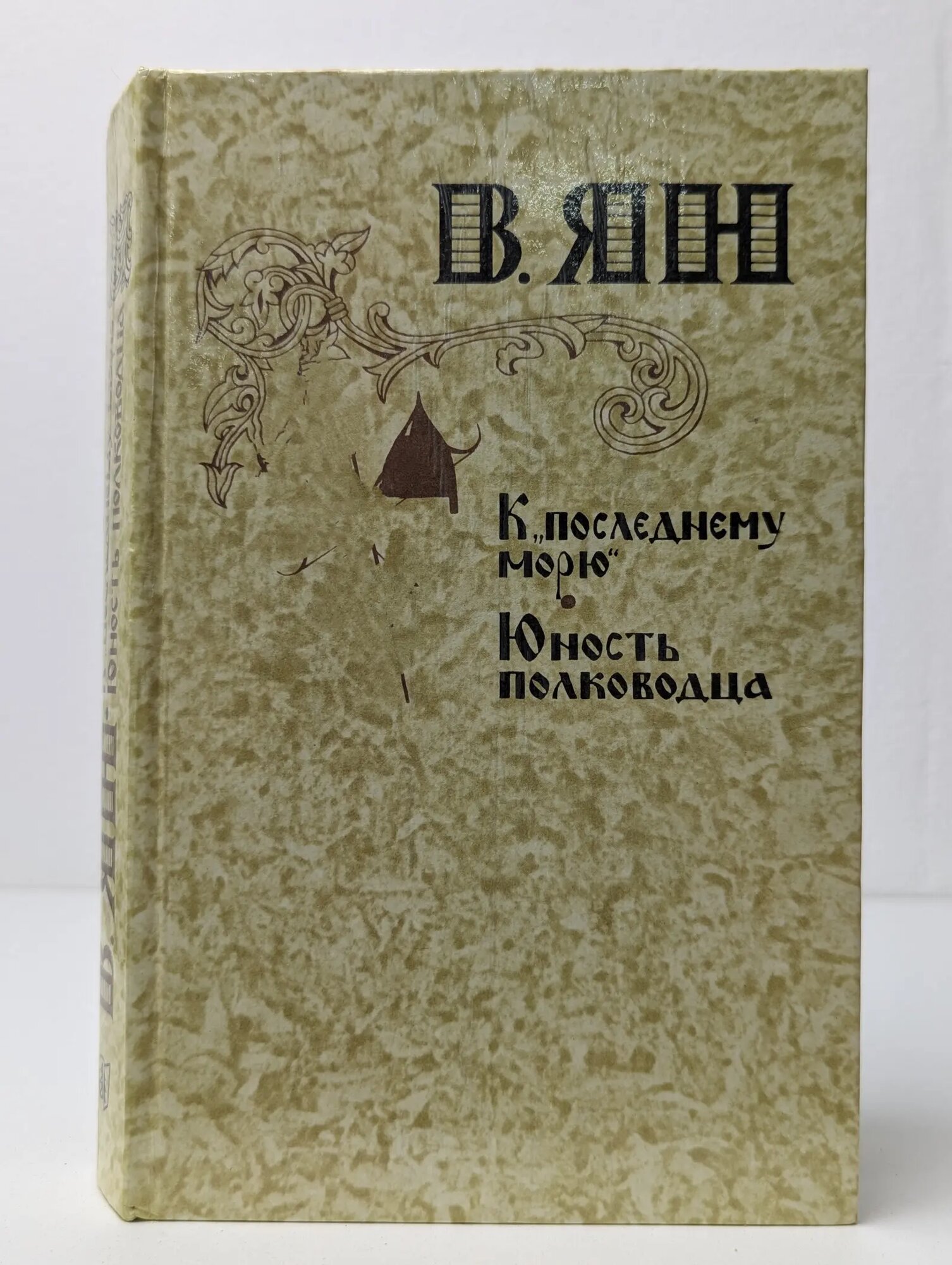 К последнему морю. Юность полководца Ян Василий Григорьевич 1981