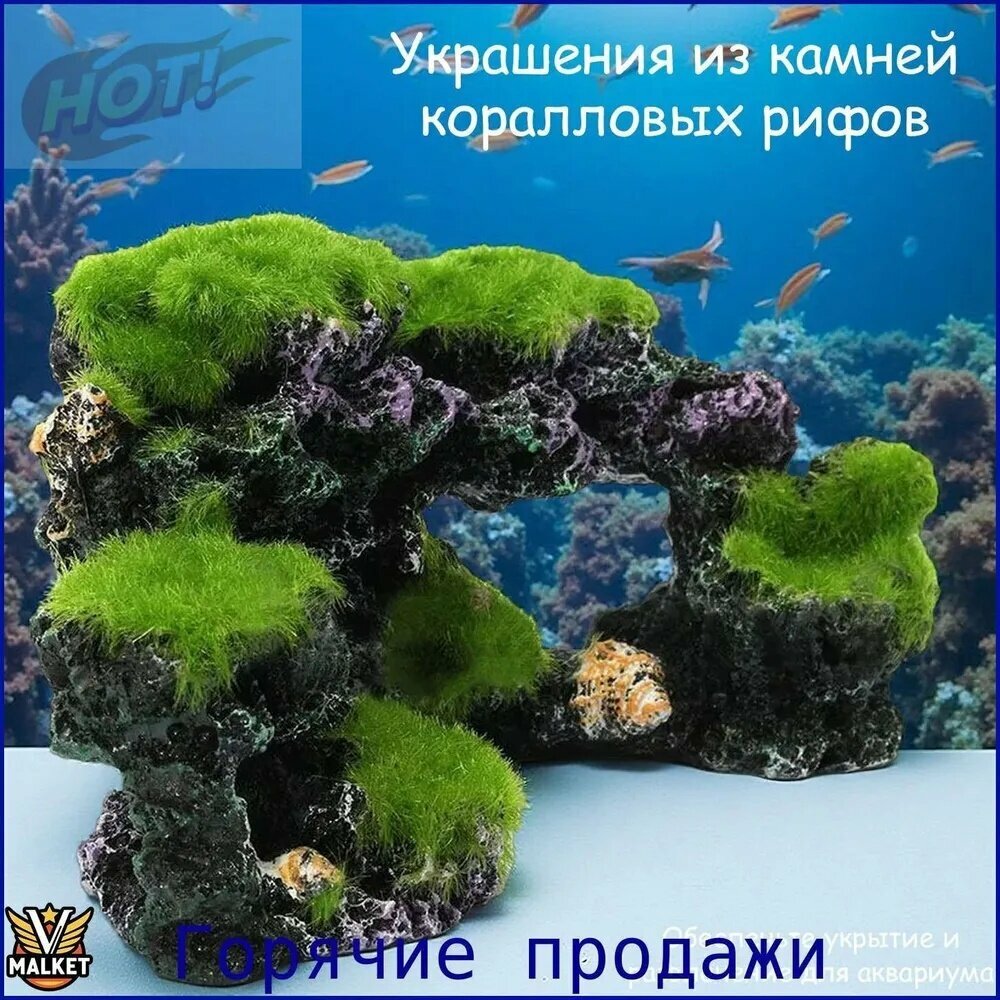 Аквариум Коралловый риф Скала Орнамент