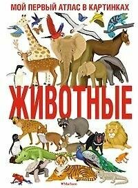 Книга "Животные. Мой первый атлас в картинках"