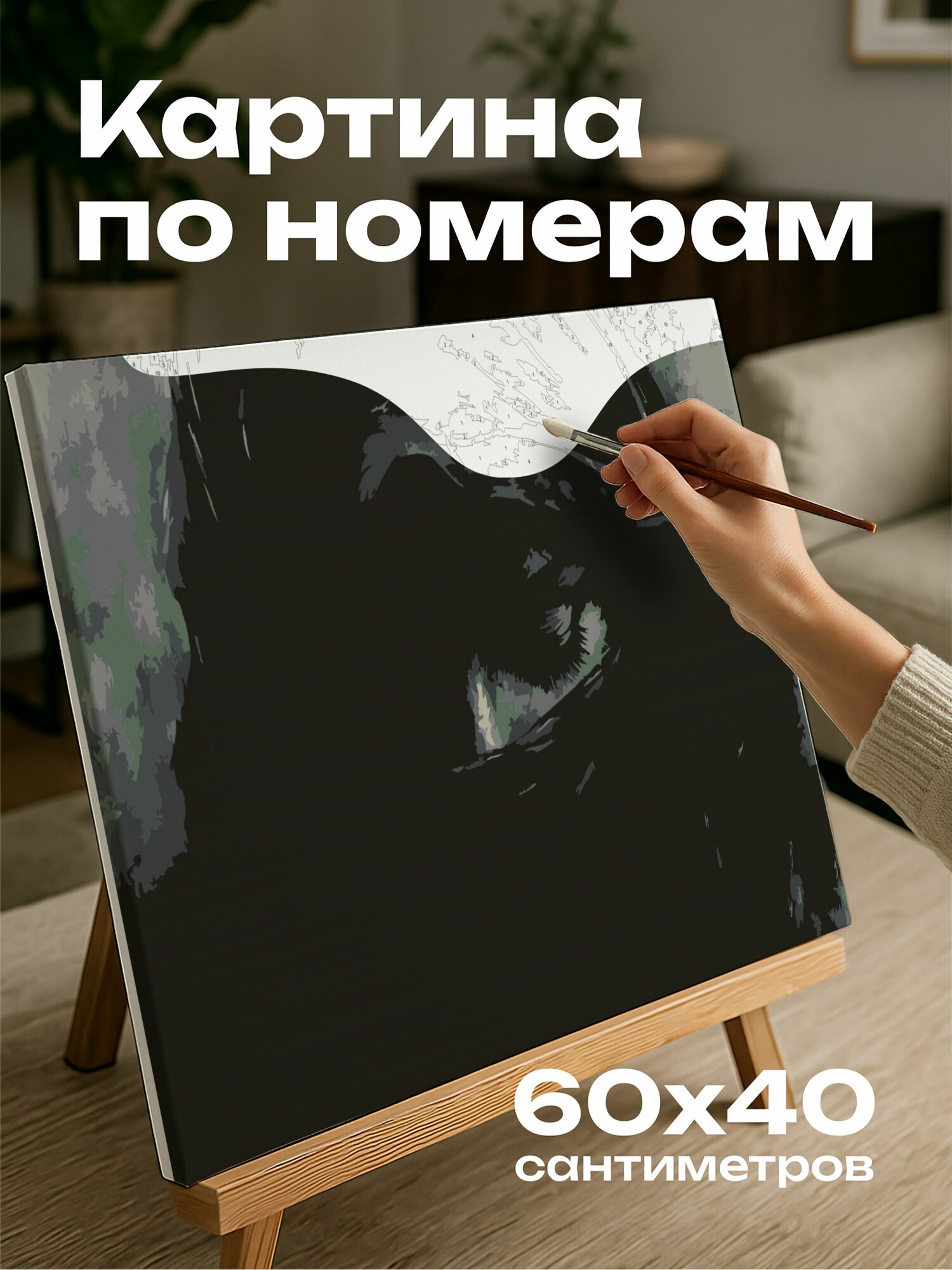 Картина по номерам 60x40 см, женщина, уголь, вуаль, темнота, очарование, тайна, свет, тень, глубина, таинственность