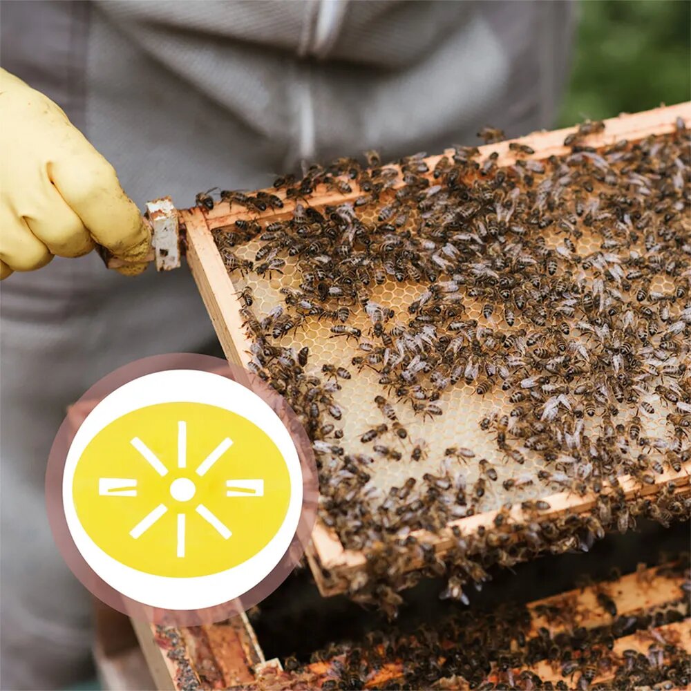 Пластиковые конусные ворота для улья желтого цвета, 15 шт, для организации защиты пчел