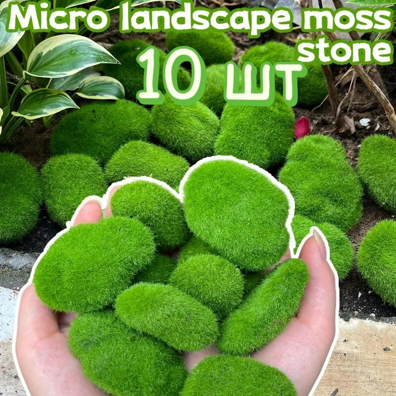 Стабилизированный мох Мох, 10 шт