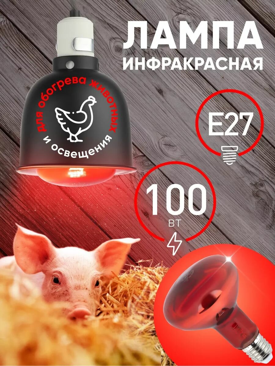 Инфракрасная лампа ЭРА икзк 230-100 R95 E27 для обогрева животных и освещения 100 Вт