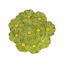 Блюдо сервировочное 37см."Maria Flor" зеленое