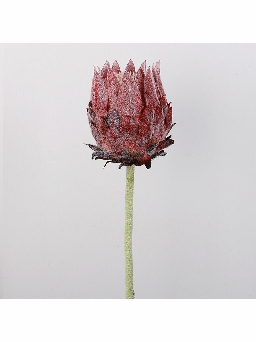 Оплачивайте позже