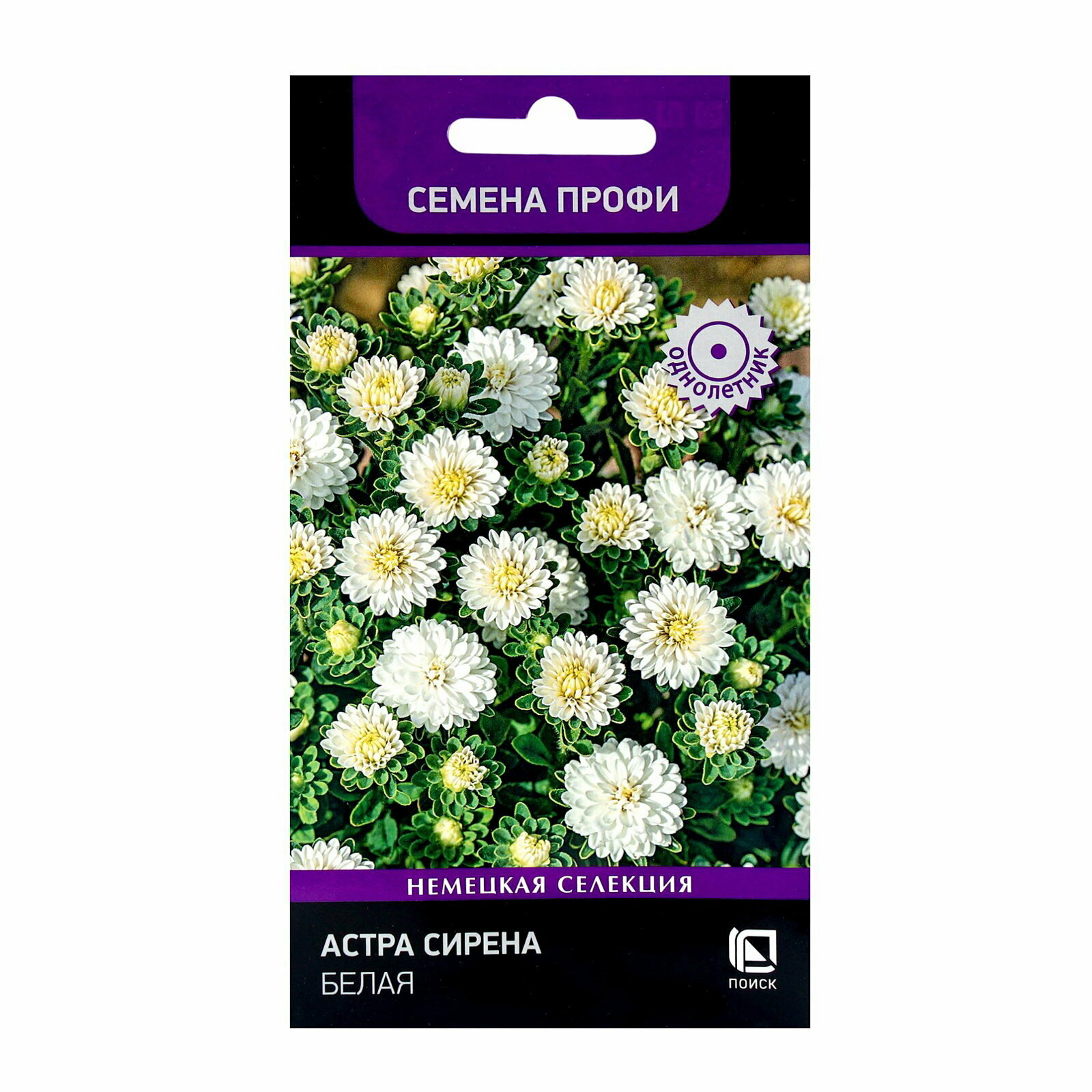 Семена цветов Астра Сирена Белая, 0.05гр, назначение: для создания букетов