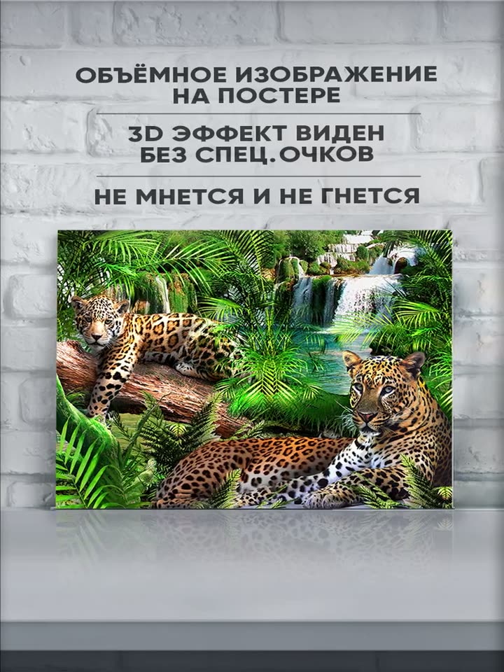 Стереопостер с 3D-эффектом "Леопарды" размер 29х20 см — фото 1