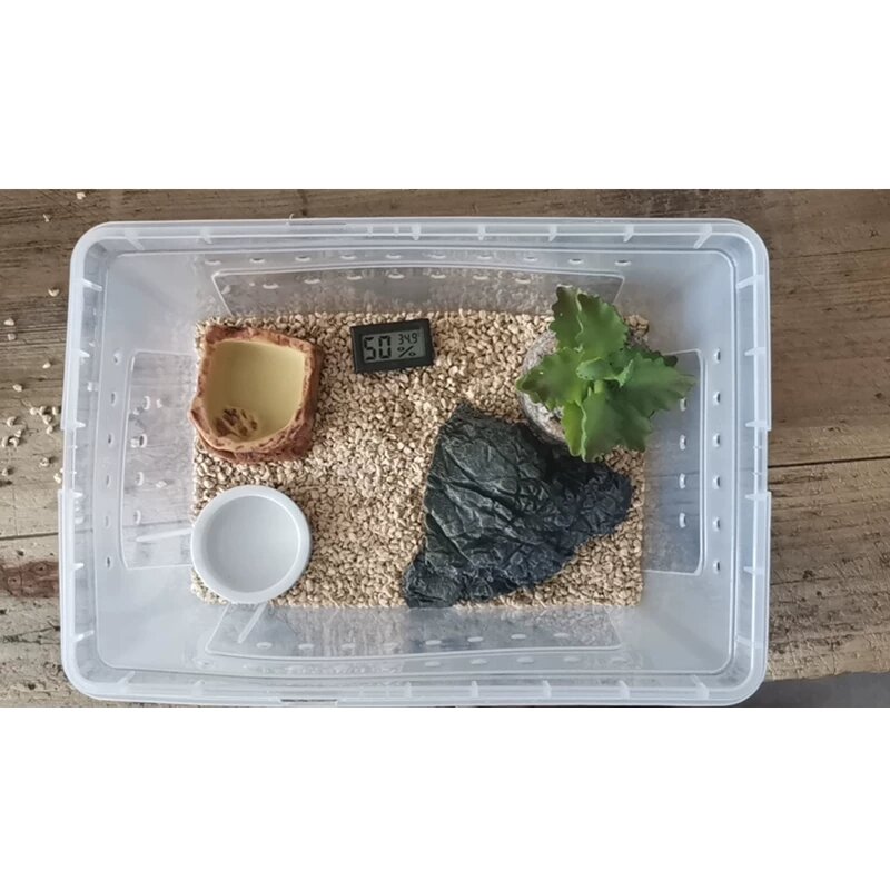 Высокопрозрачный террариум для рептилий (геконов, ящериц, рогатых лягушек), дышащий контейнер для разведения пауков и