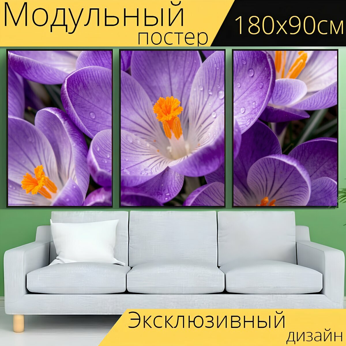 Модульный постер "Фиолетовые крокусы с каплями росы. Макросъёмка нежных весенних первоцветов в сиренево-лавандовых оттенках с яркими." 180 x 90 см. для интерьера на стену в тубусе