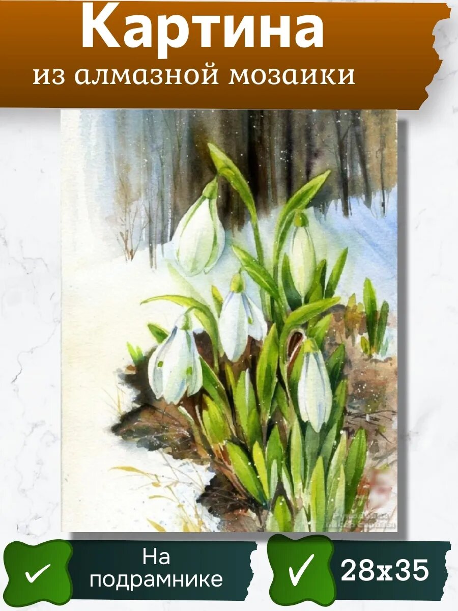 Алмазная мозаика на подрамнике 28х35