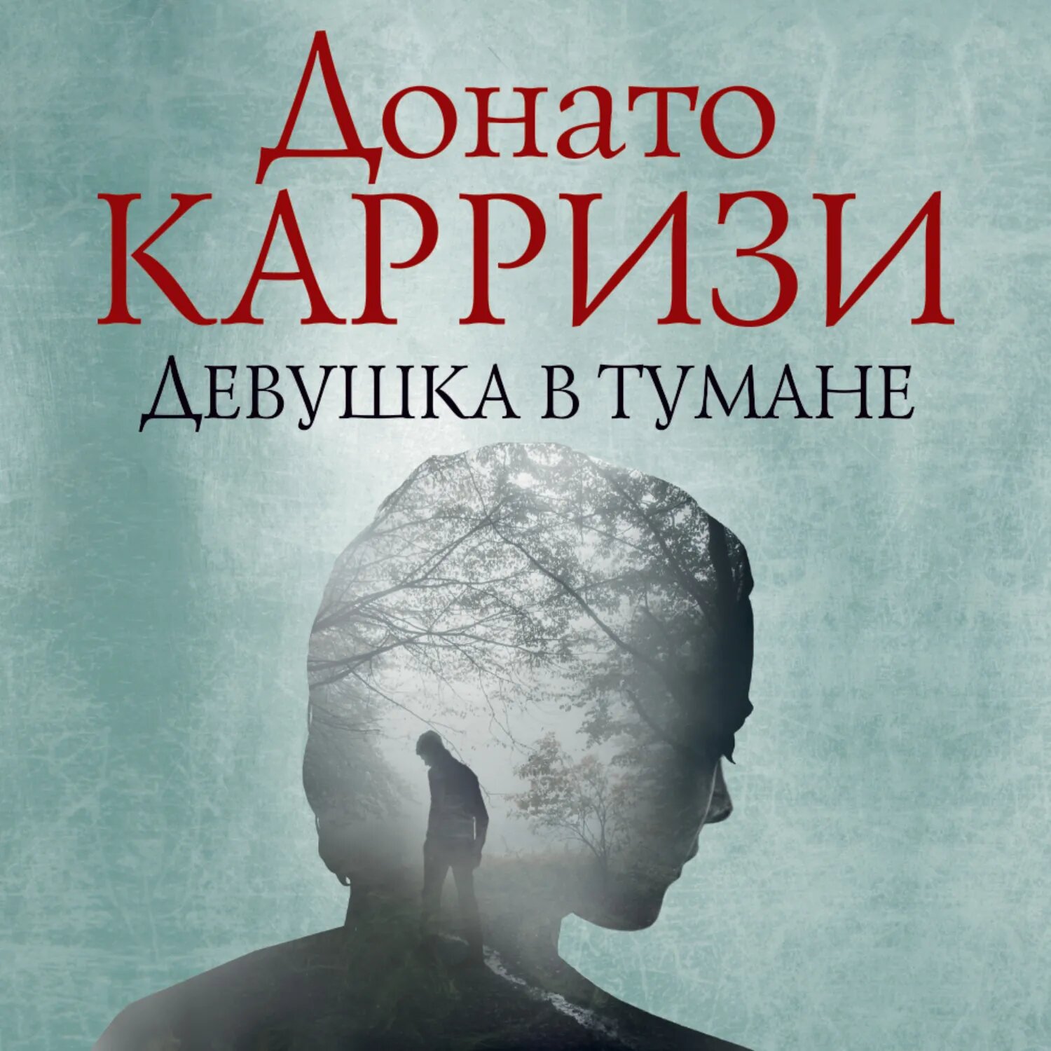 Девушка в тумане [Аудиокнига]