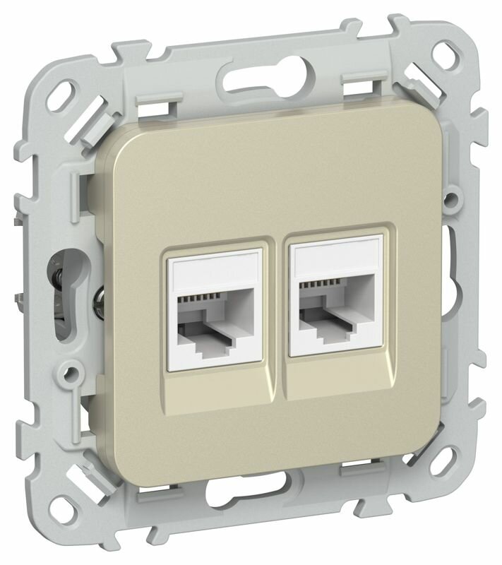 Розетка компьютерная 2-м СП FLITE РК5е-2-0-ФлШ RJ45 кат.5E UTP механизм шампань IEK FI-K22-1-K37