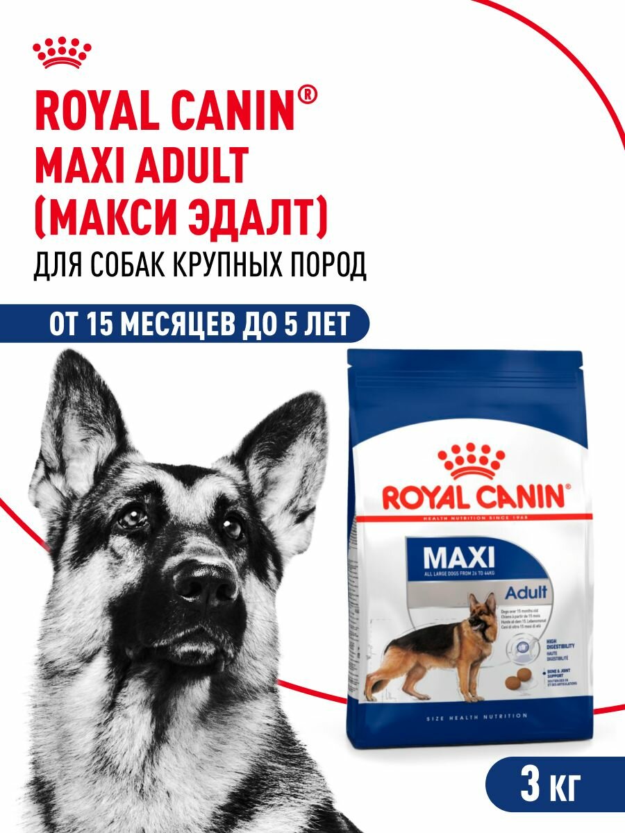 Сухой корм для собак Royal Canin Maxi Adult для крупных пород, 3 кг