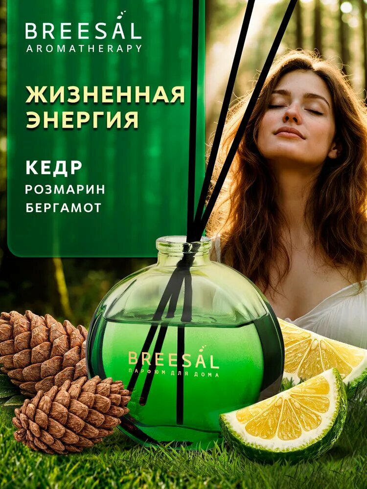 Диффузор ароматический, Breesal Aromatherapy Жизненная энергия, ароматизатор для дома с палочками, 70 мл