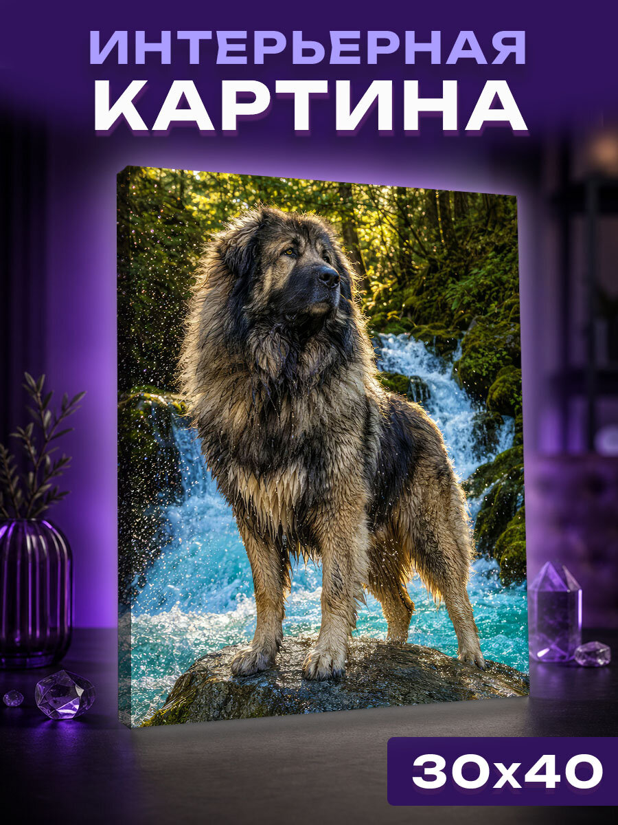 Интерьерная картина Кавказская овчарка на скале у водопада