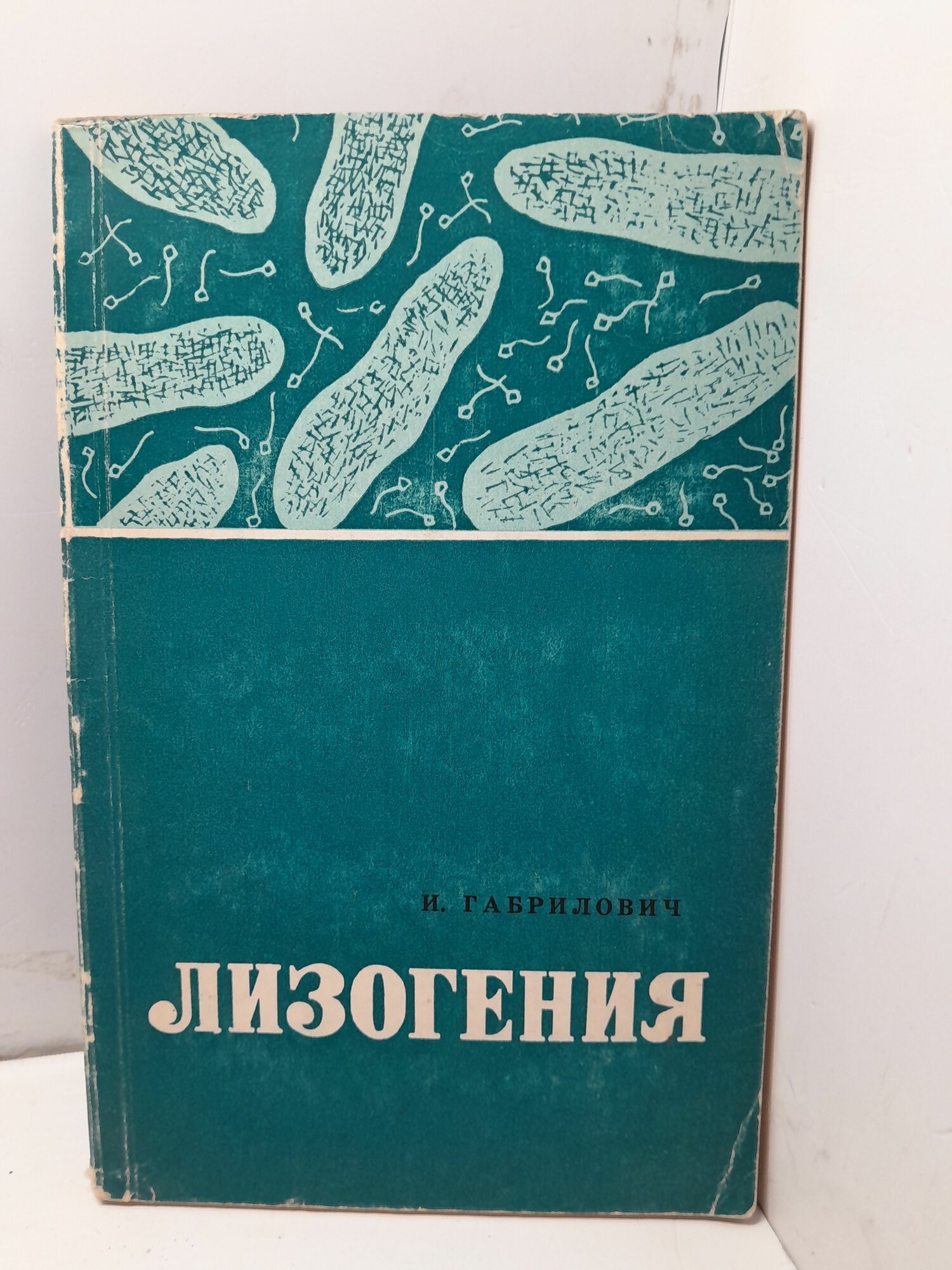Лизогения / И. М. Габрилович