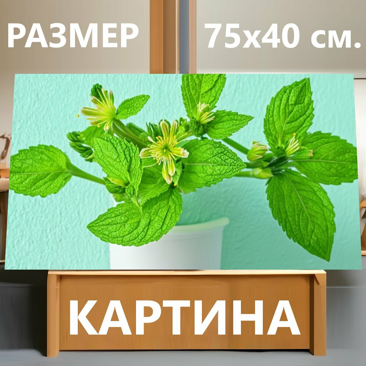 Картина на холсте "Мятный цвет: очаровательные мятные цветы расцветают на фоне мятной стены, создавая гармоничную композицию. использовать." на подрамнике 75х40 см. для интерьера
