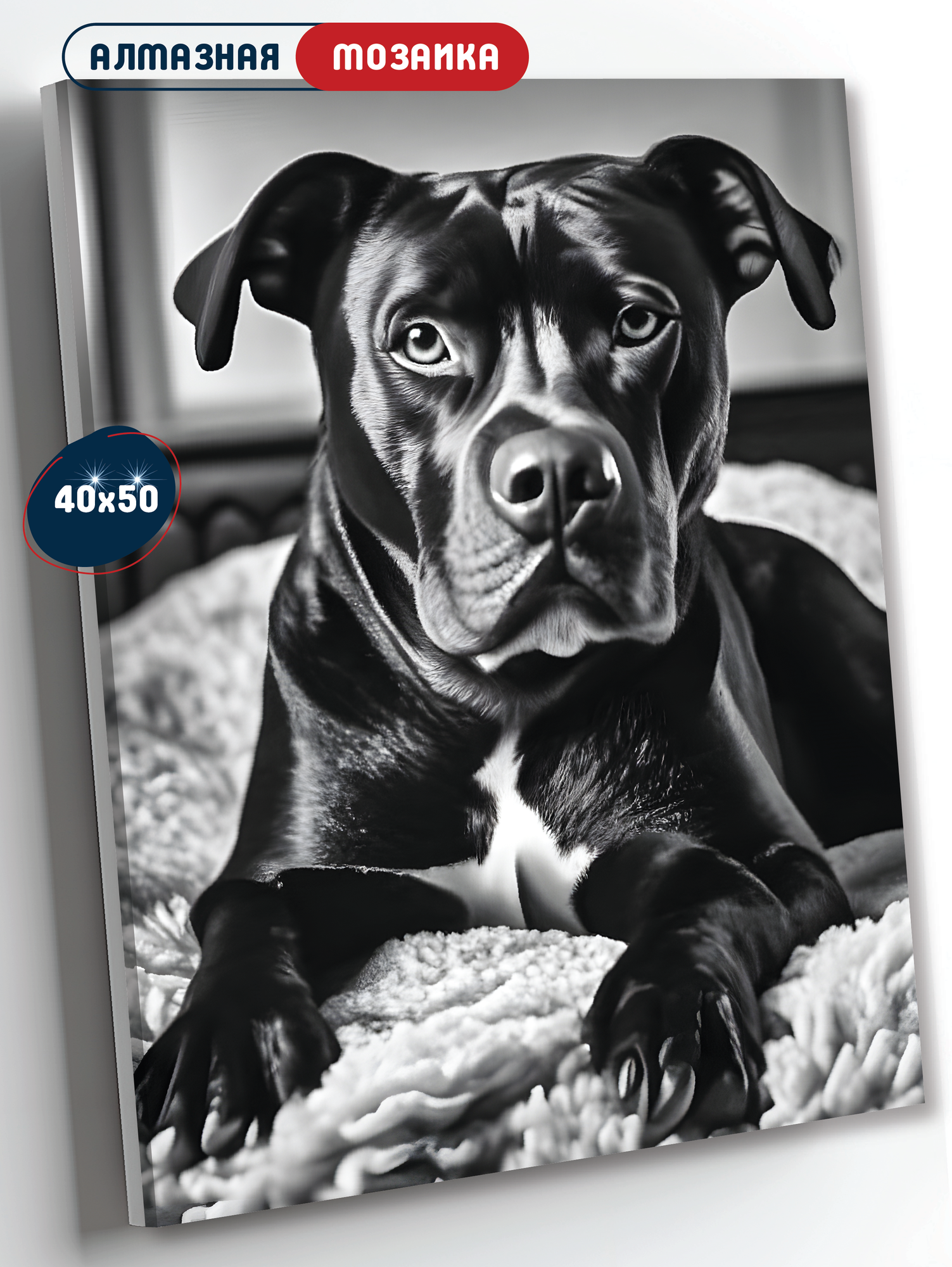 Алмазная мозаика на подрамнике "Бультерьер" 40х50 Полная выкладка