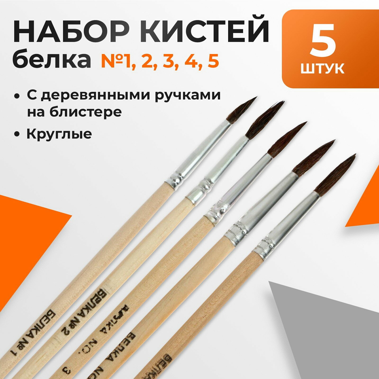Набор кистей для рисования, белка, 5 штук: № 1, 2, 3, 4, 5, круглые, деревянная ручка, международный размер