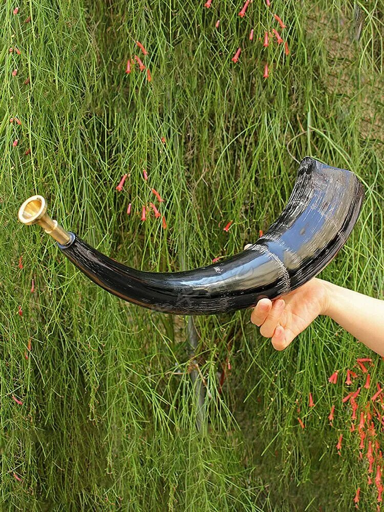 Боевой горн из черного рога яка с медным мундштуком (40-50cm)