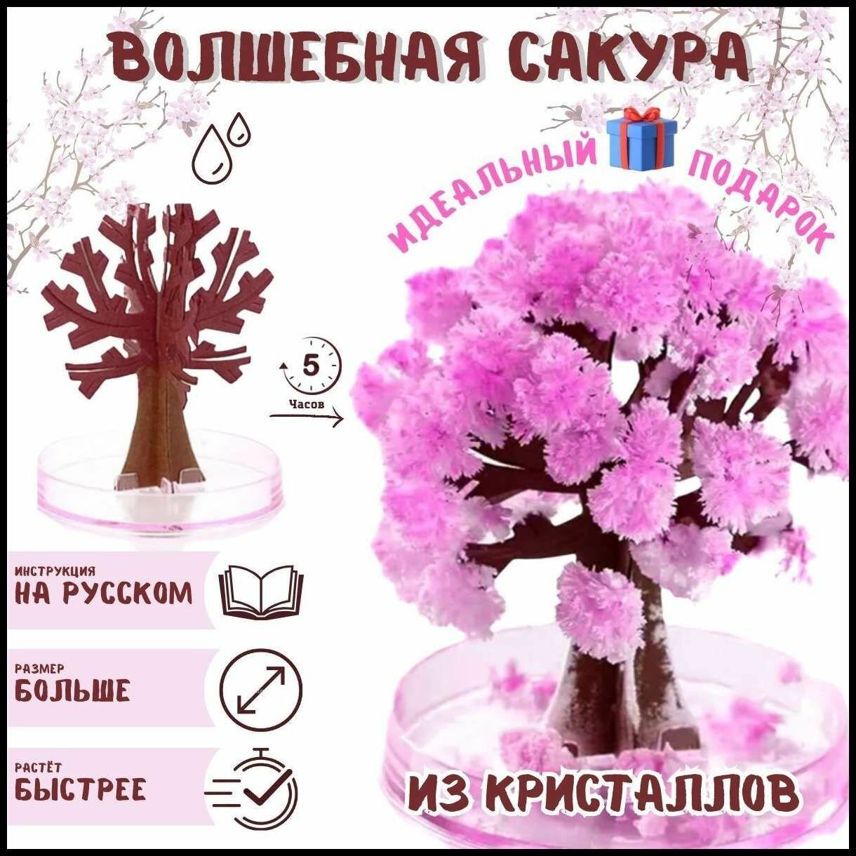 Набор для опытов