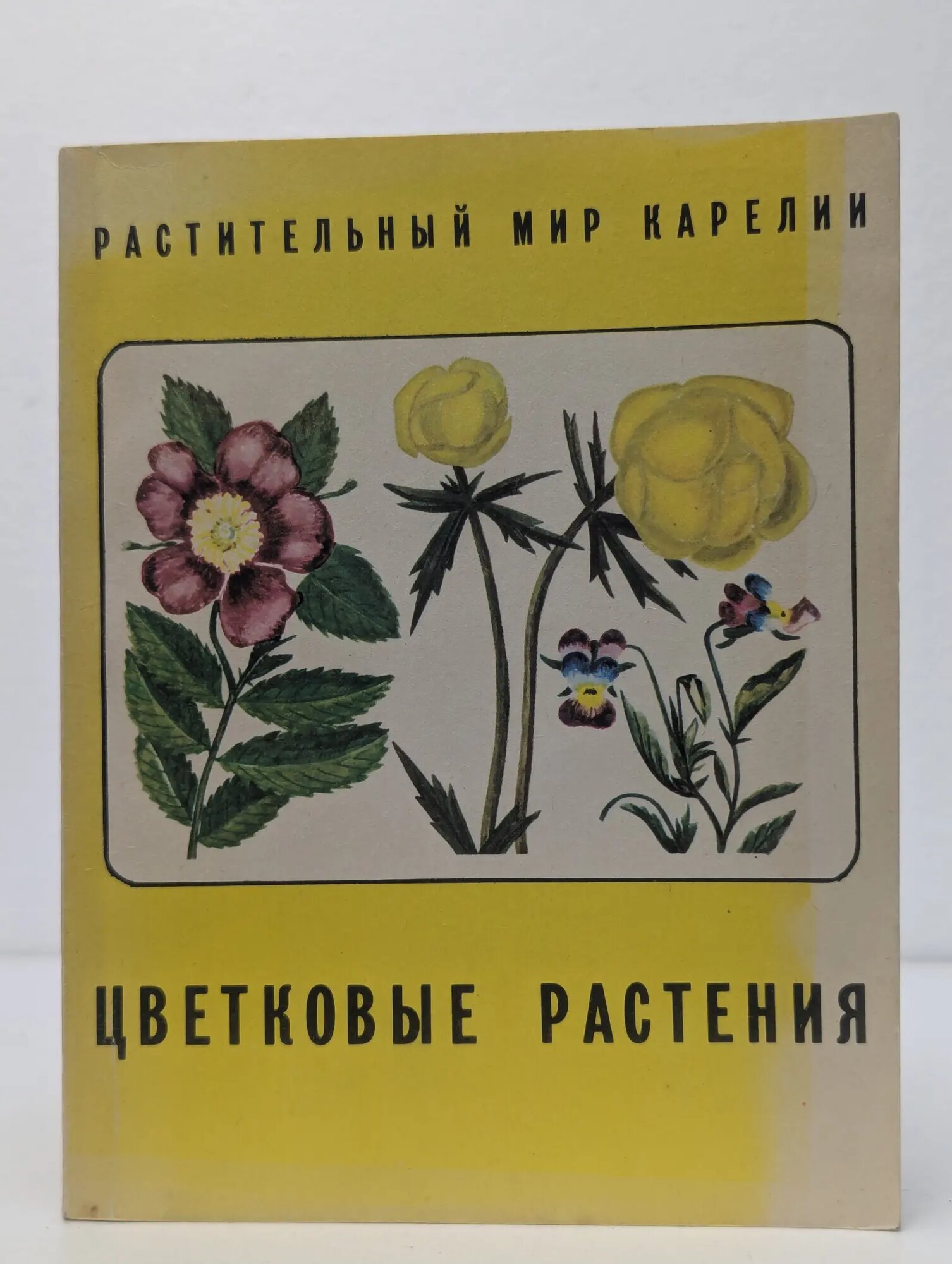 Цветковые растения Лантратова Антонина Степановна, Чехонина М. В, Лебедева Н. В. 1983