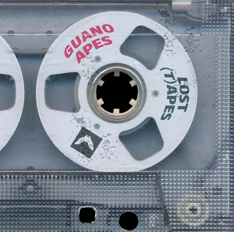 Виниловая пластинка Guano Apes - Lost (T)Apes LP
