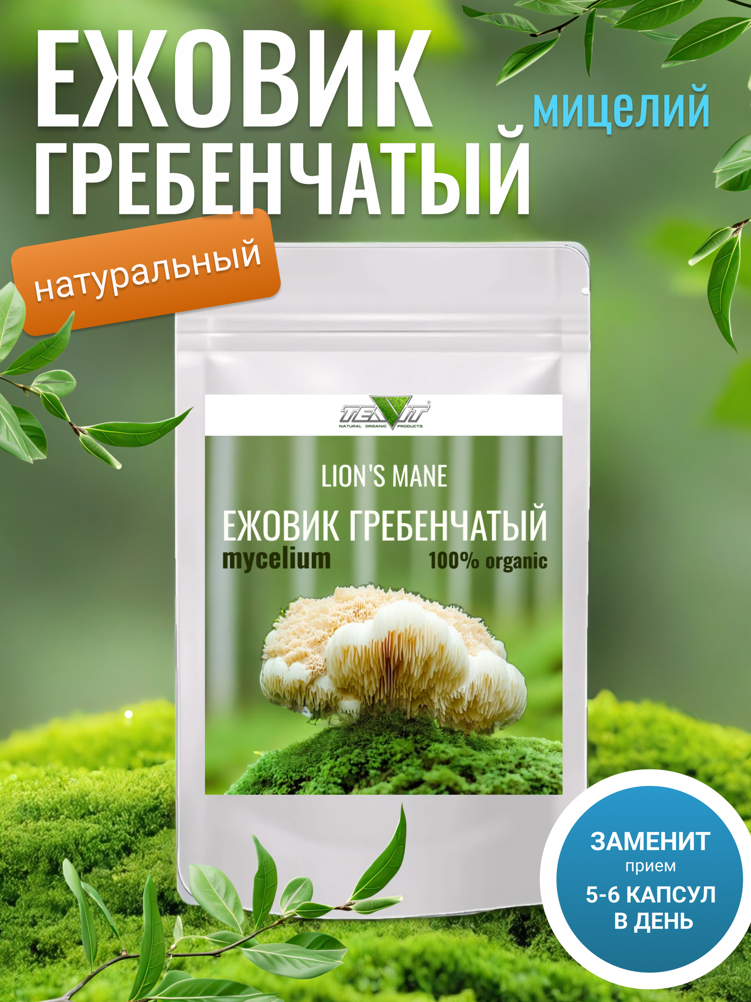 Ежовик гребенчатый мицелий TEAVIT 100 г. Цельный экстракт «Мицелий + Плодовое тело»